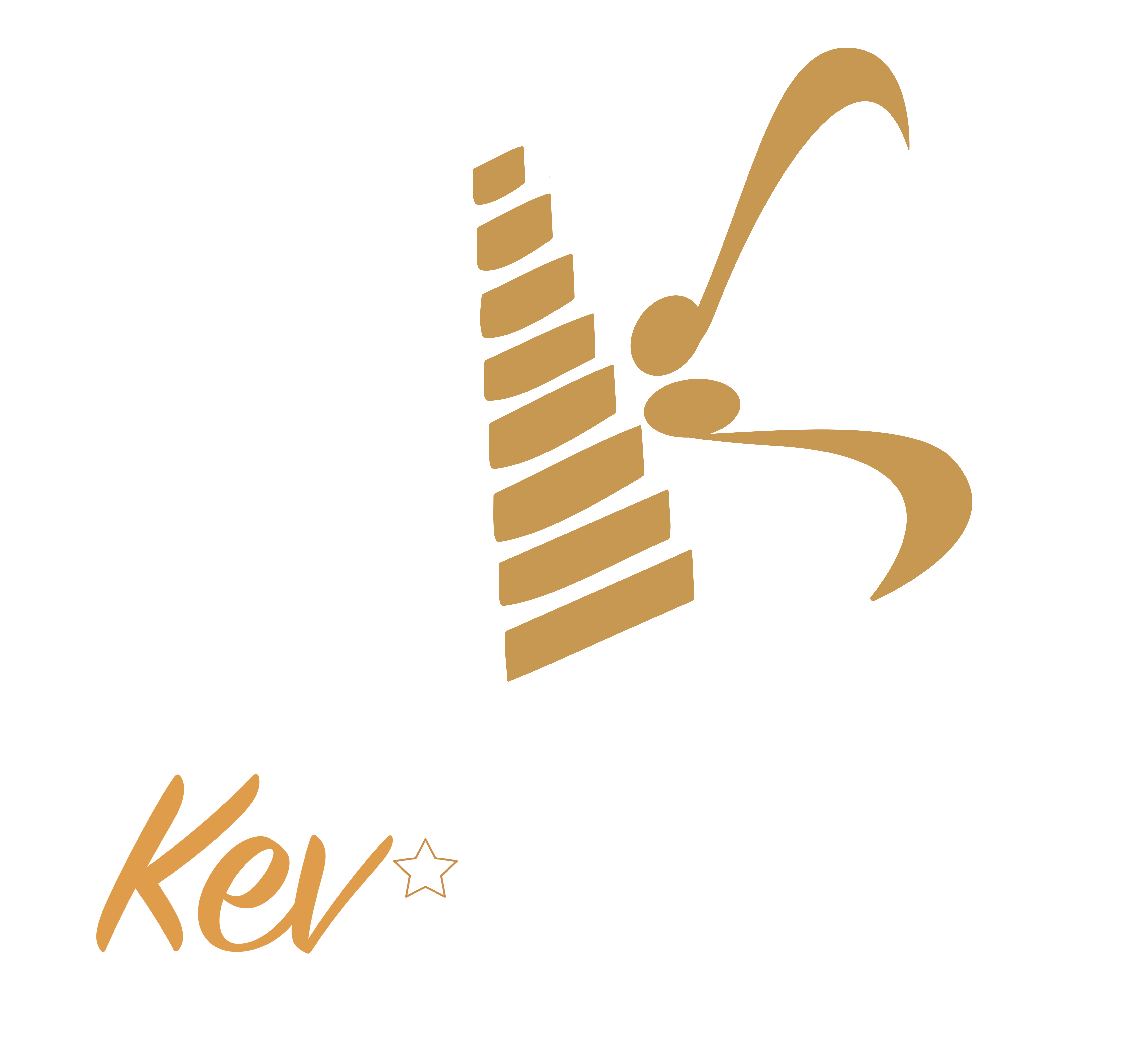 Inicio - kevsantos.com